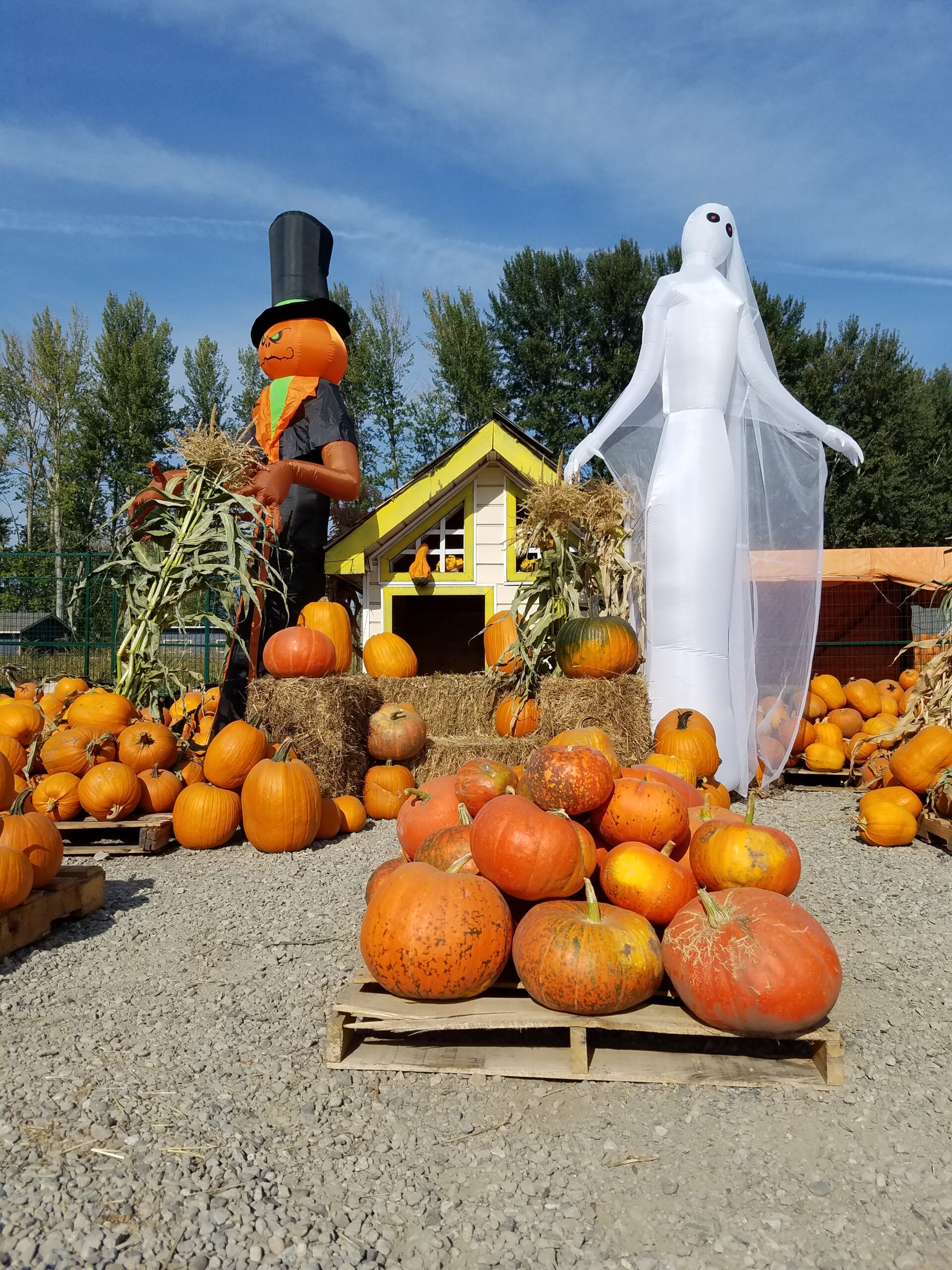 BC Fall Harvest